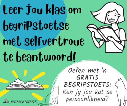 Motiveer jou leerders met ‘n gratis begriptoets vir Afrikaans EAT ...